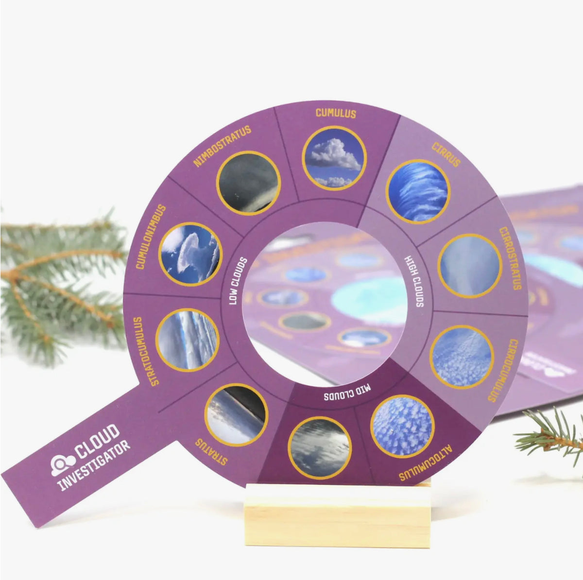 Cloud Identification Tool | Tigertree